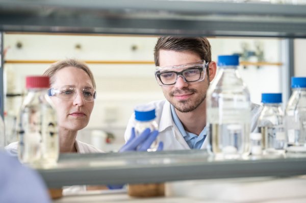 API CDMO: Drug Development & Manufacturing - Patheon pharma services
